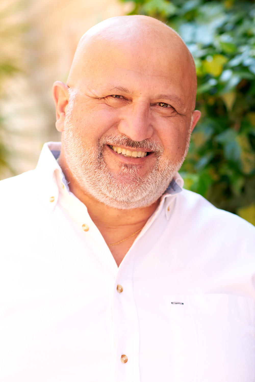 Stephen D'Agata – Author of Pope Dreams Series of Novels